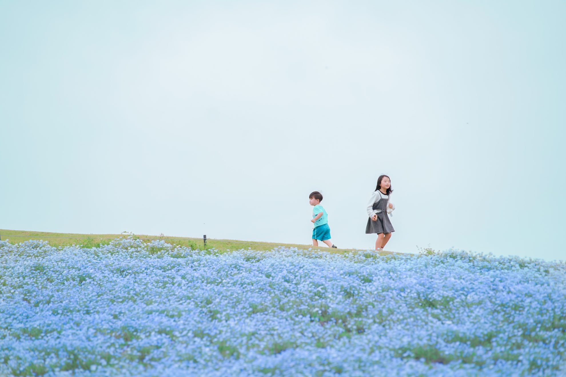 🌼春のお出かけ🌼 – 株式会社 九州PFIクリエイト